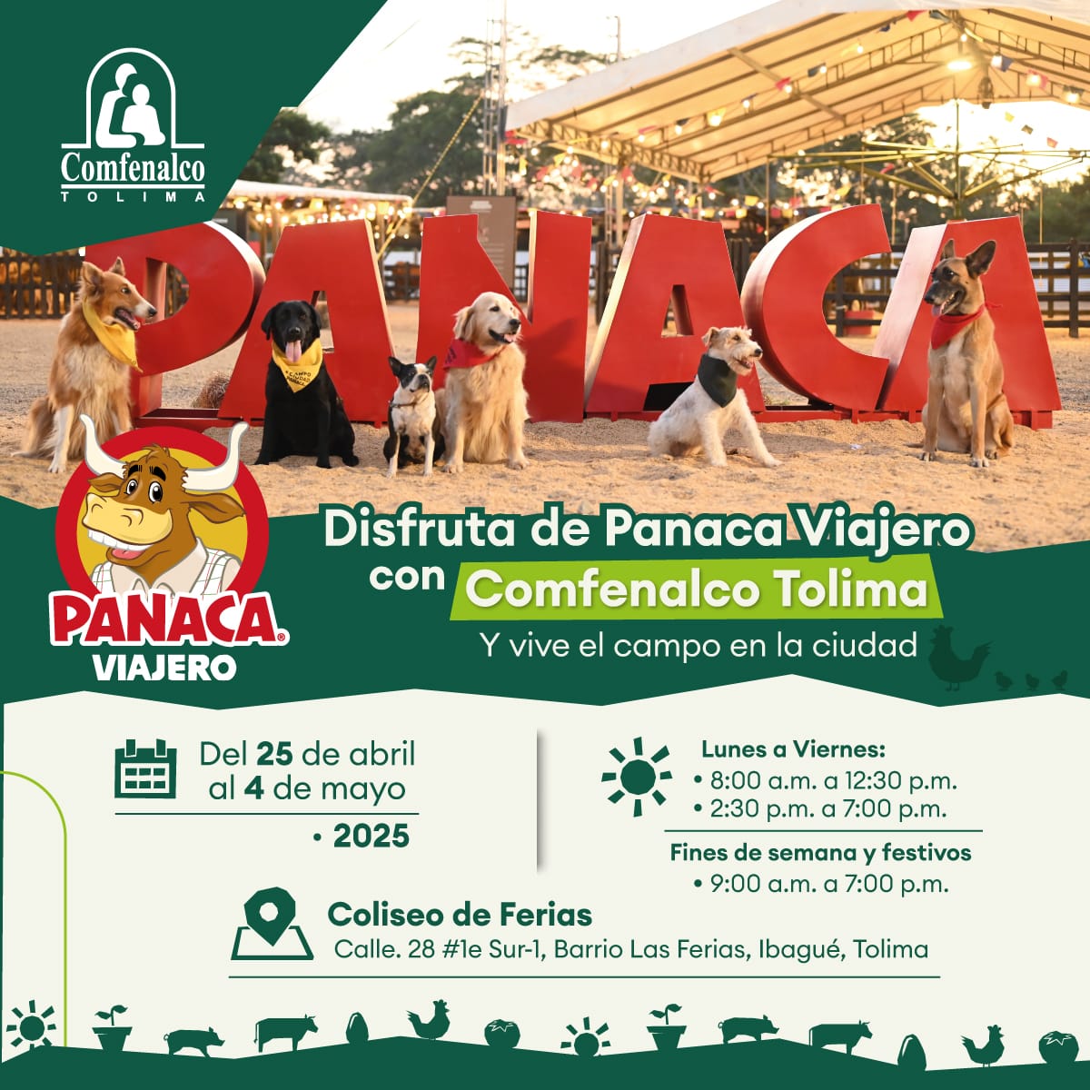 Adquiere tus boletas Panaca Viajero con Comfenalco Tolima - Bajo la Lupa